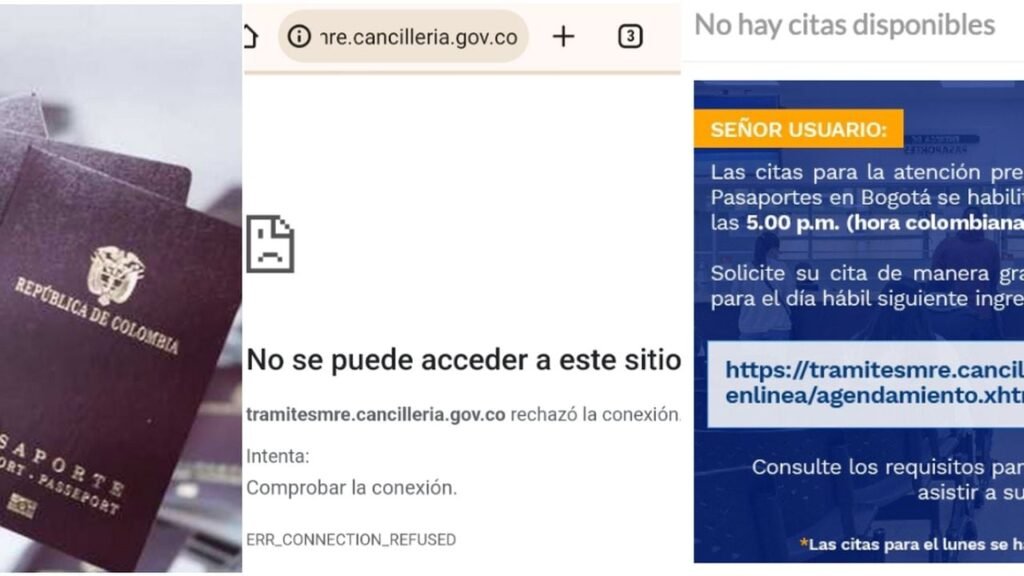 Cómo Saber Mi Tax ID En Colombia: Guía Para Conductores